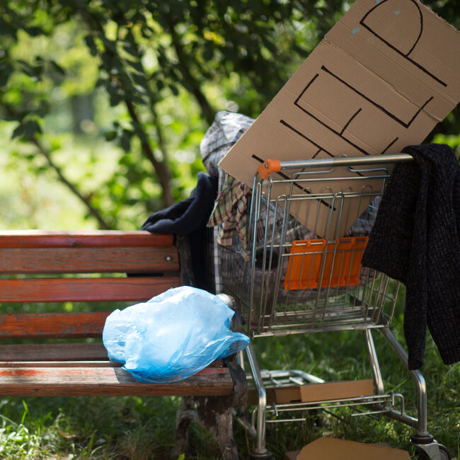 Shining a Light on Homelessness | MIG